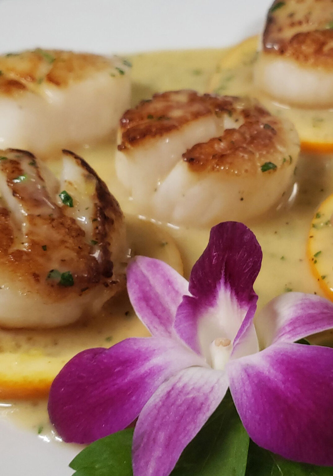 Menu - Ristorante Serena